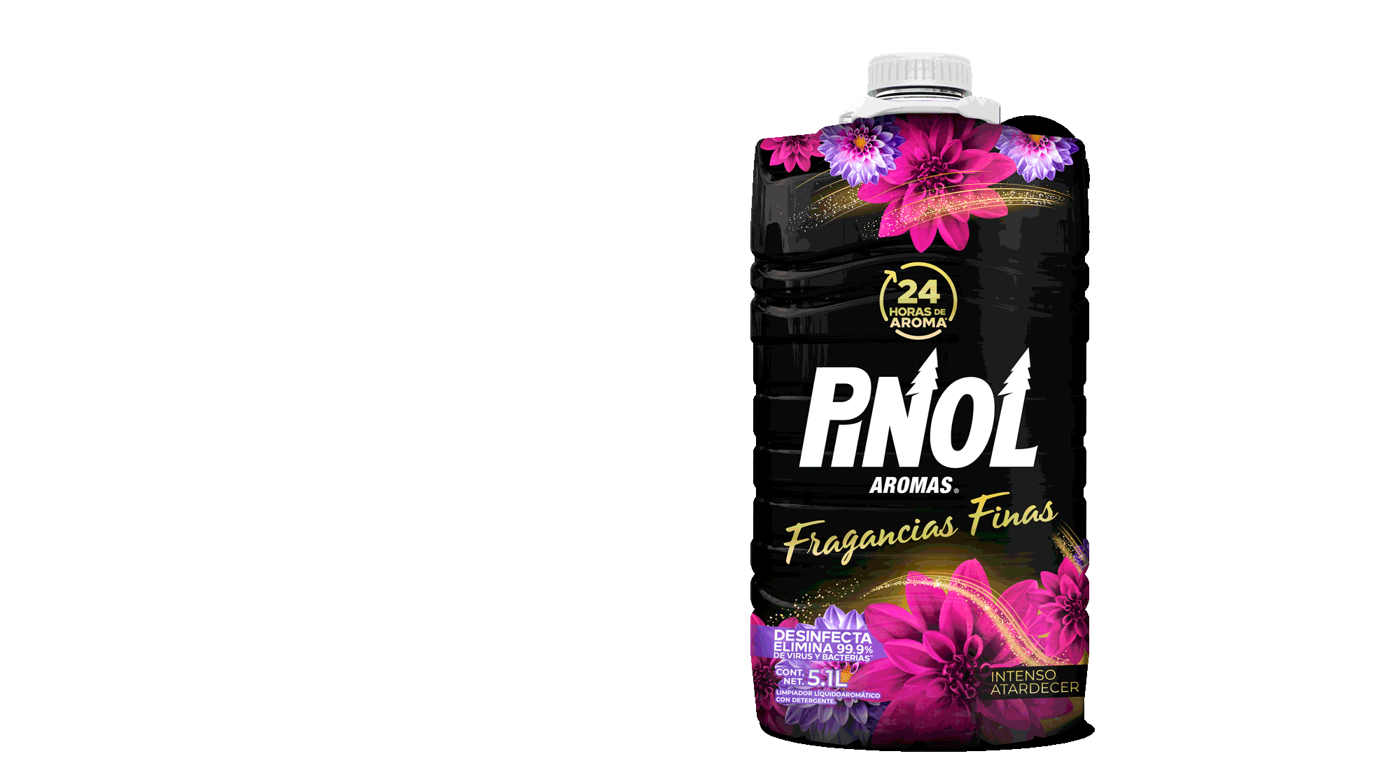 Pinol, ideal para la limpieza del hogar efectiva | Pinol